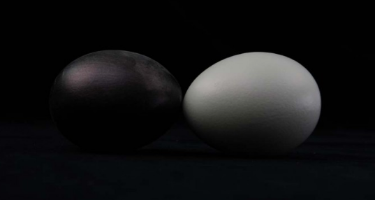 PYRISMA® T40-26 SW COLOR SPACE MAGENTA – AGARAGAR